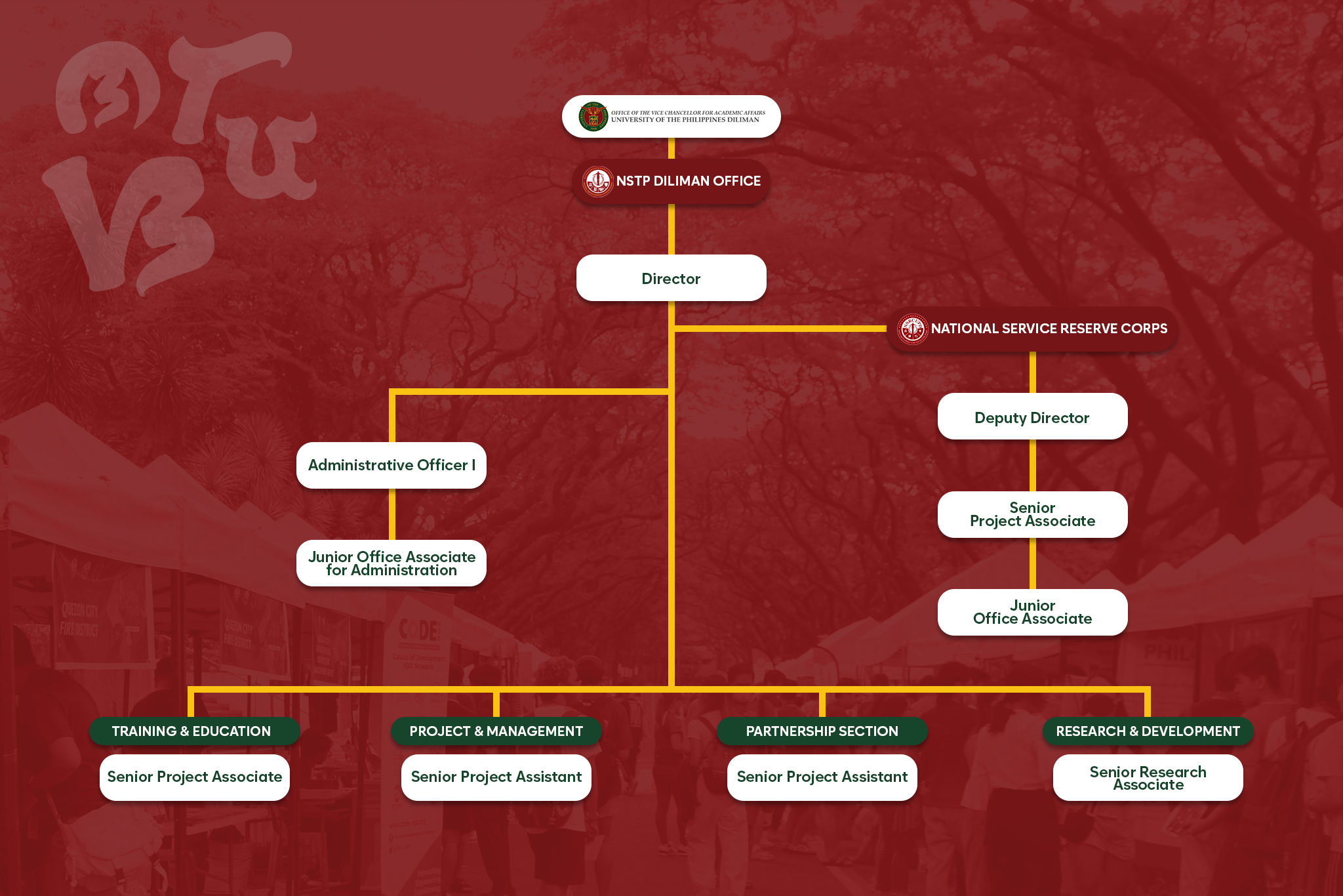NSTP DILIMAN OFFICE – National Service Training Program Diliman